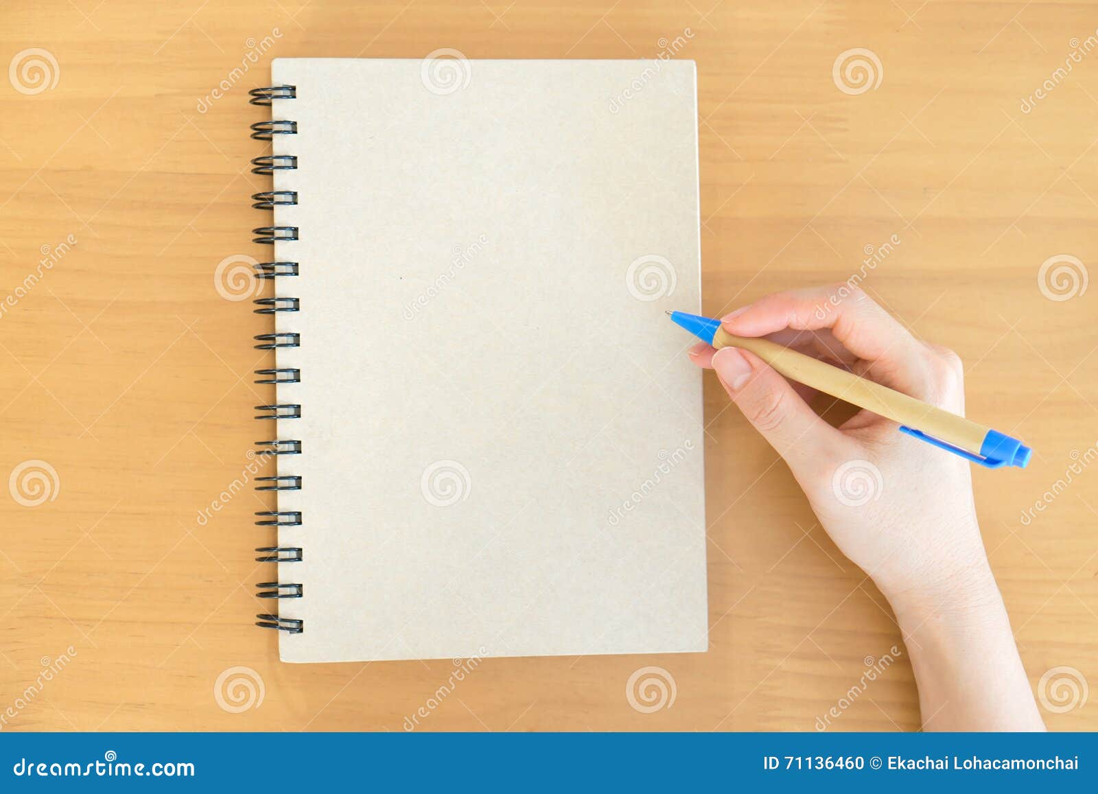 A Female Hands with Pen Writing on Notebook Stock Photo - Image of ...