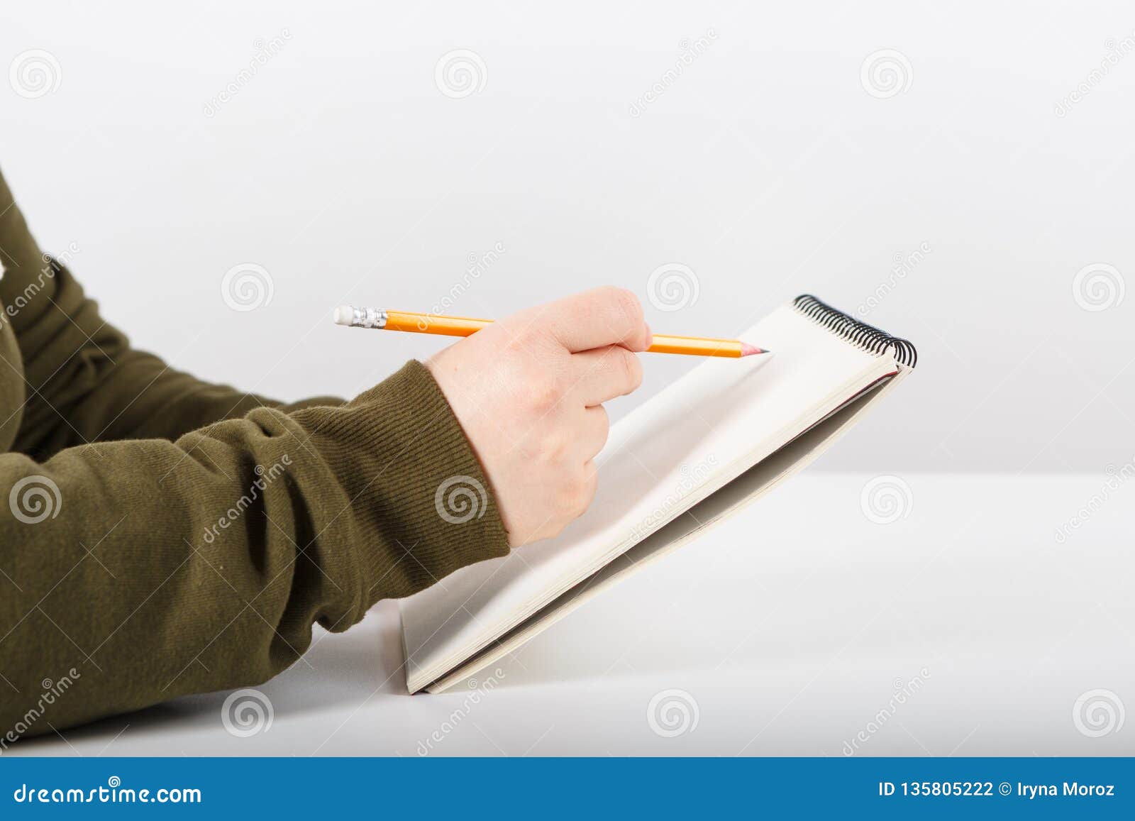 Female Hands with Pen Writing and Working Notebook Stock Photo - Image ...