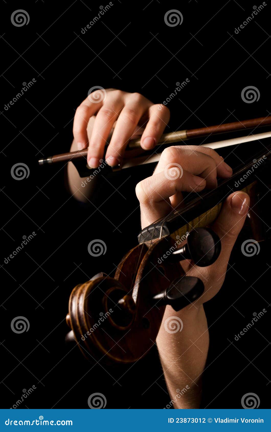 Female hands play a violin stock photo. Image of closeup - 23873012