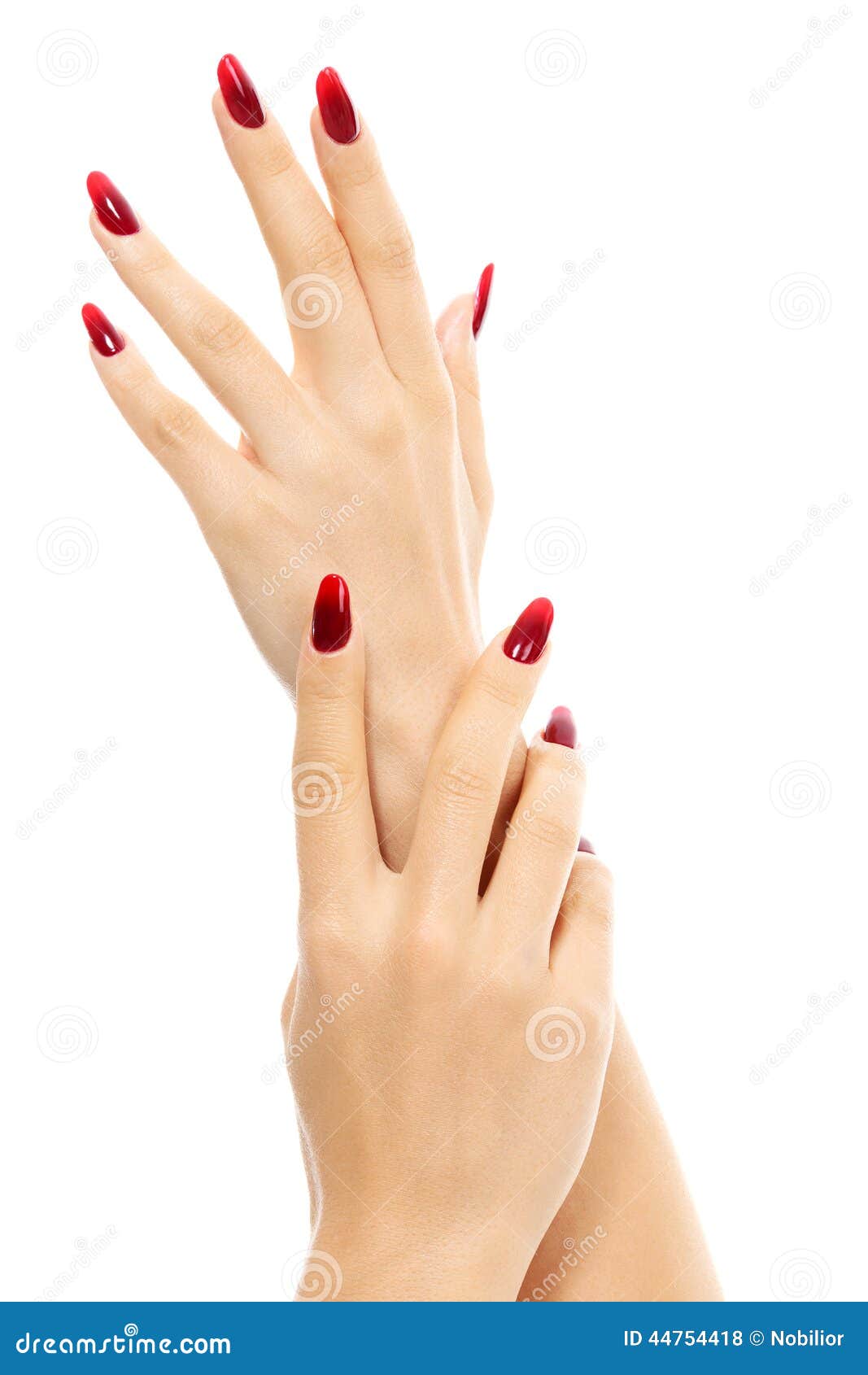 Female Hands with Red Fingernails Stock Photo - Image of healthy ...