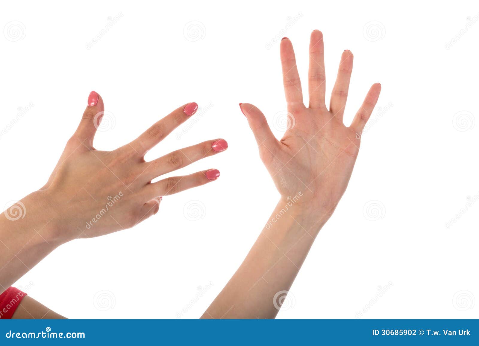 Showing Nine 9 Fingers Hand Gesture, Show Number Three With Hands ...