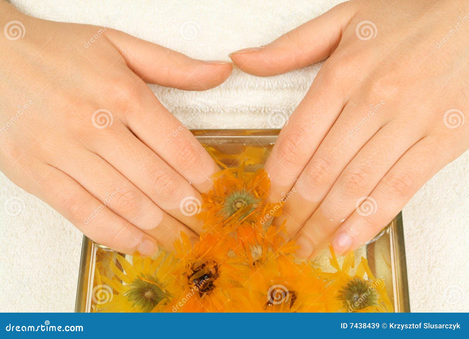 Female hands in spa stock image. Image of water, young - 7438439