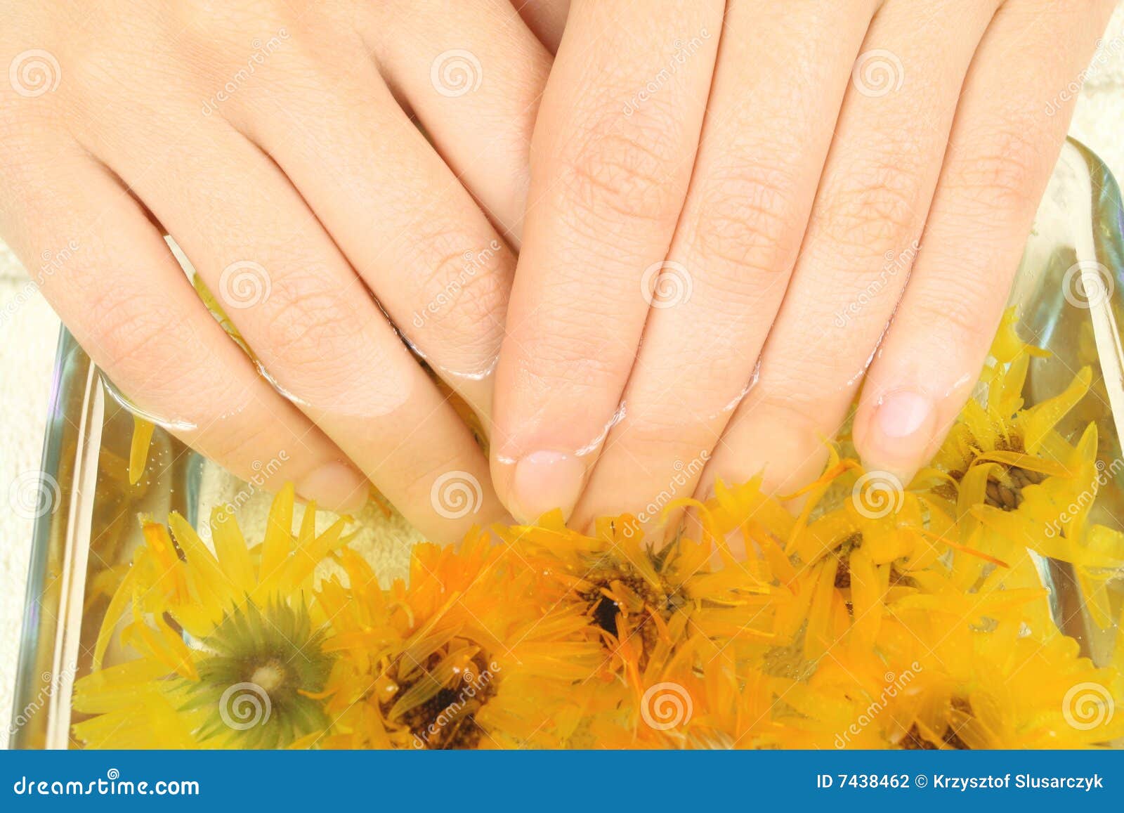 Female hands in spa stock photo. Image of fingers, finger - 7438462