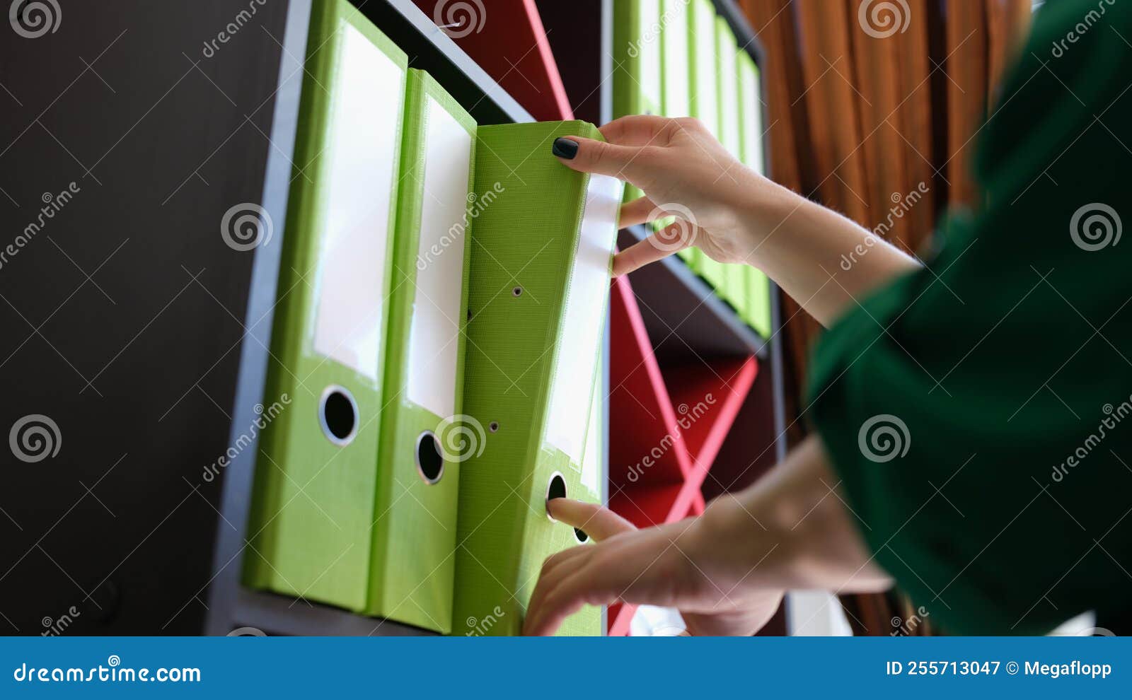Female Hands Takes Folder with Documents from Shelf in Archive Stock ...