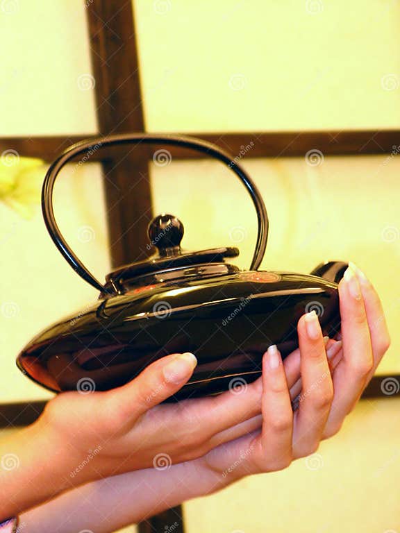 Female hands and teapot stock photo. Image of human, pots - 7565348