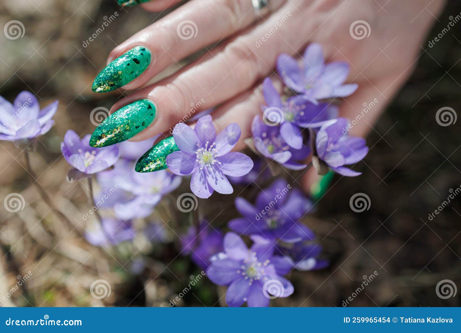 Female Hands Touch the First Spring Blue Flowers Stock Photo - Image of ...