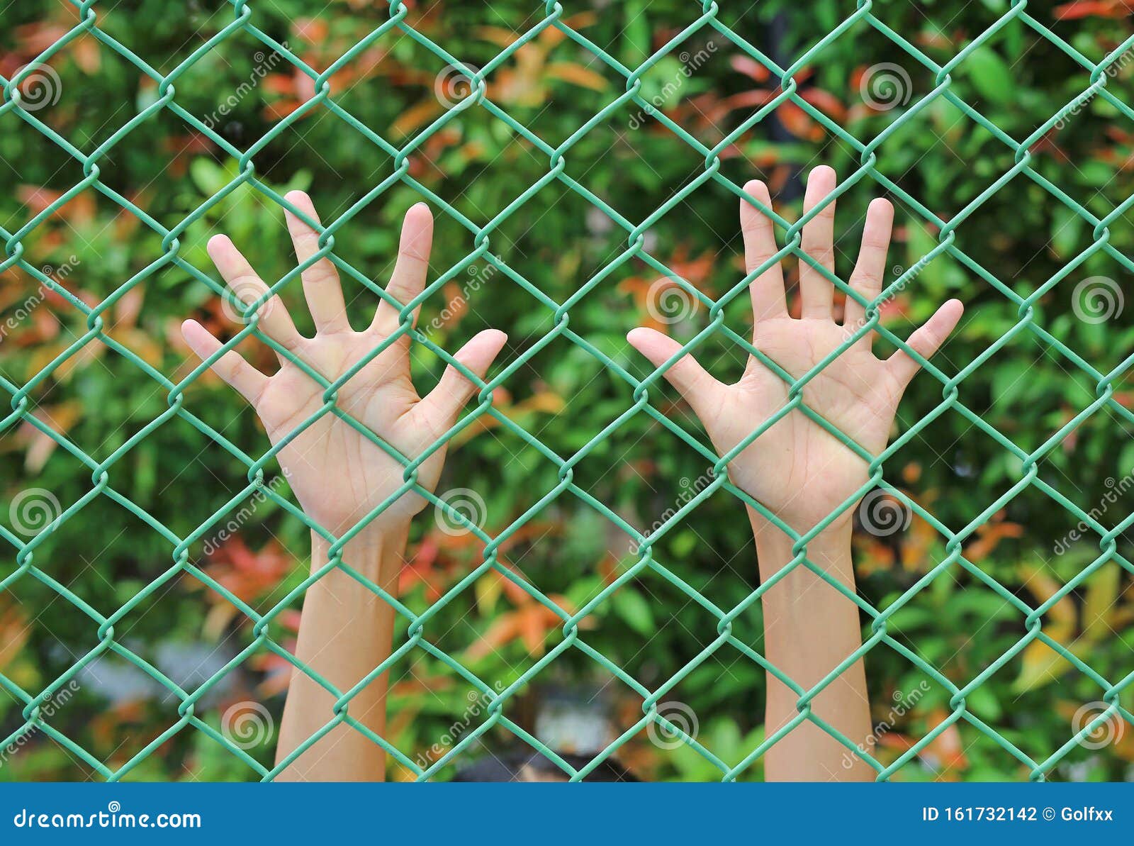 Female Hands Touching Iron Mesh Stock Photo - Image of captive, female ...