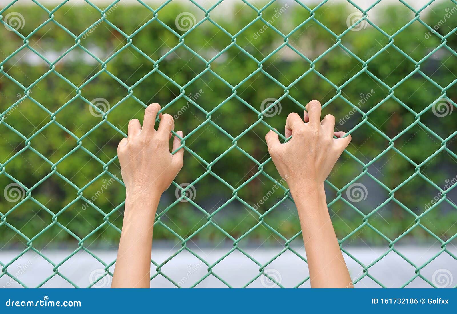 Female Hands Touching Iron Mesh Stock Photo - Image of confined, closed ...