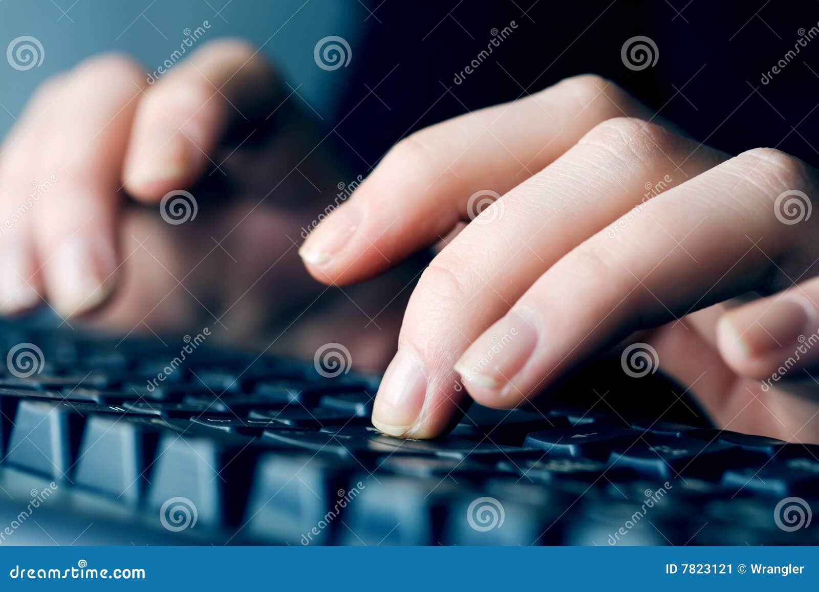 Female Hands Typing on Computer Keyboard Stock Image - Image of laptop ...