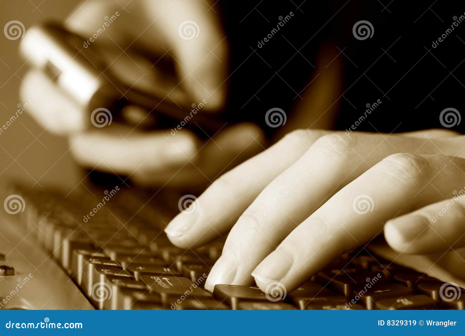 Female hands typing. stock image. Image of finger, data - 8329319