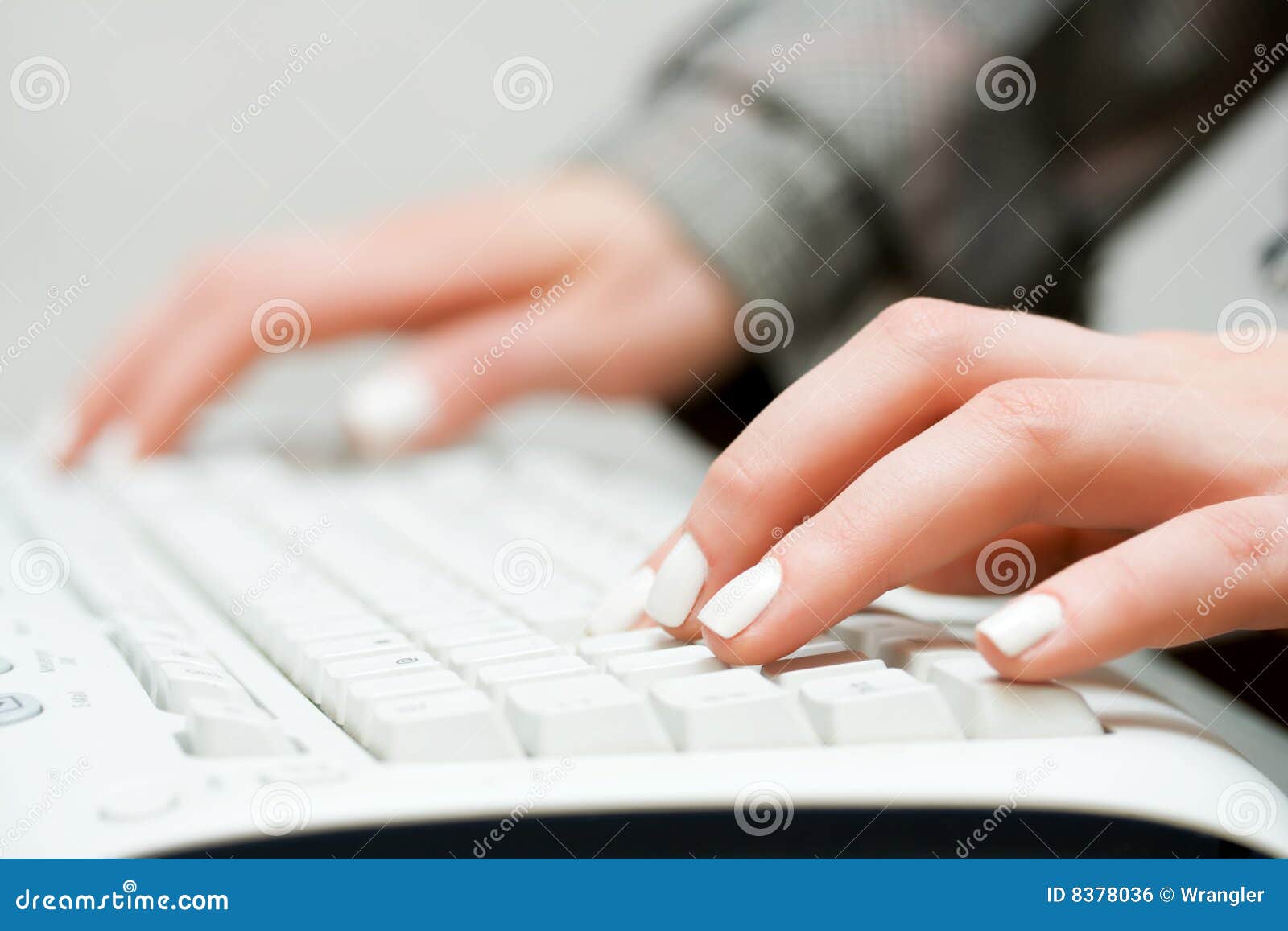Female hands typing. stock photo. Image of data, electronics - 8378036