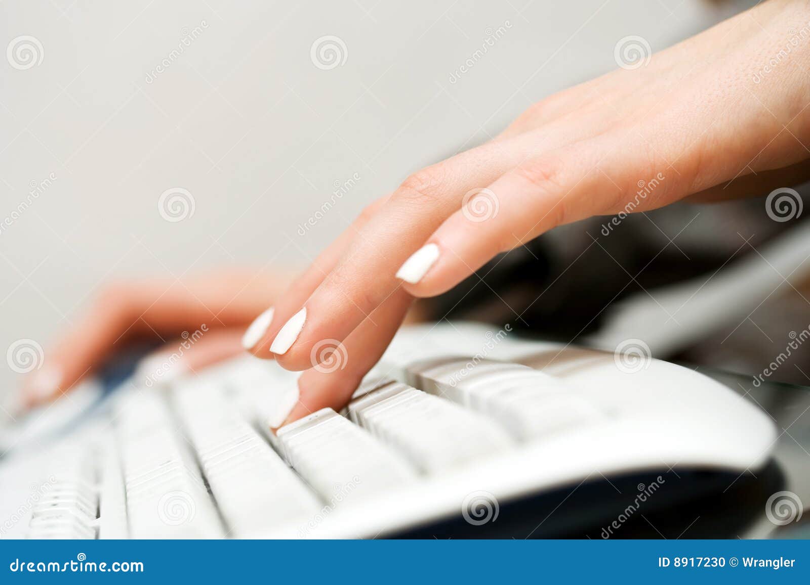 Female hands typing. stock photo. Image of business, communication ...