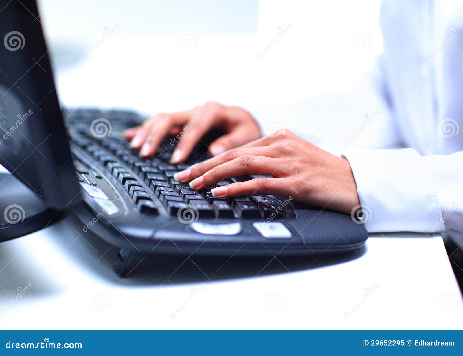 Female Hands Typing on Computer Stock Image - Image of internet, hand ...