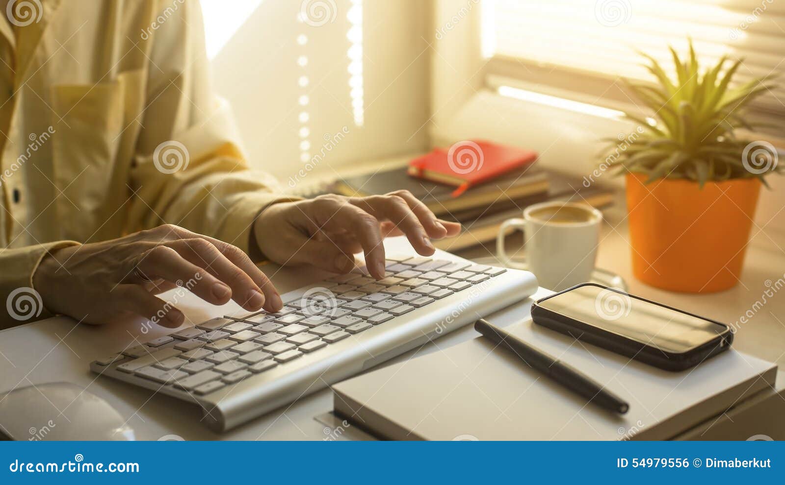 Female Hands Typing on Computer Keyboard. Education. Stock Photo ...