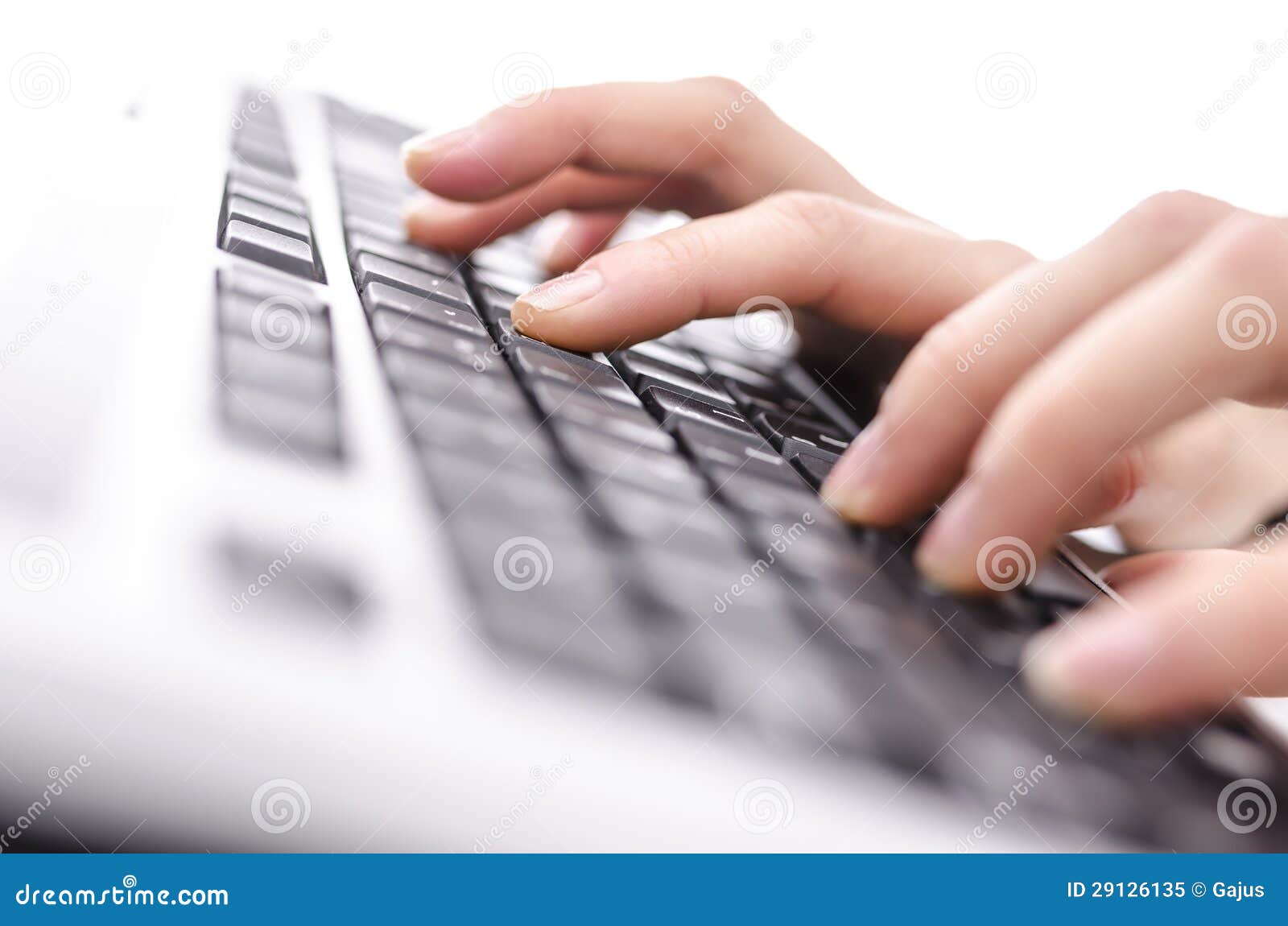 Female Hands Typing on Keyboard Stock Image - Image of depth, isolated ...