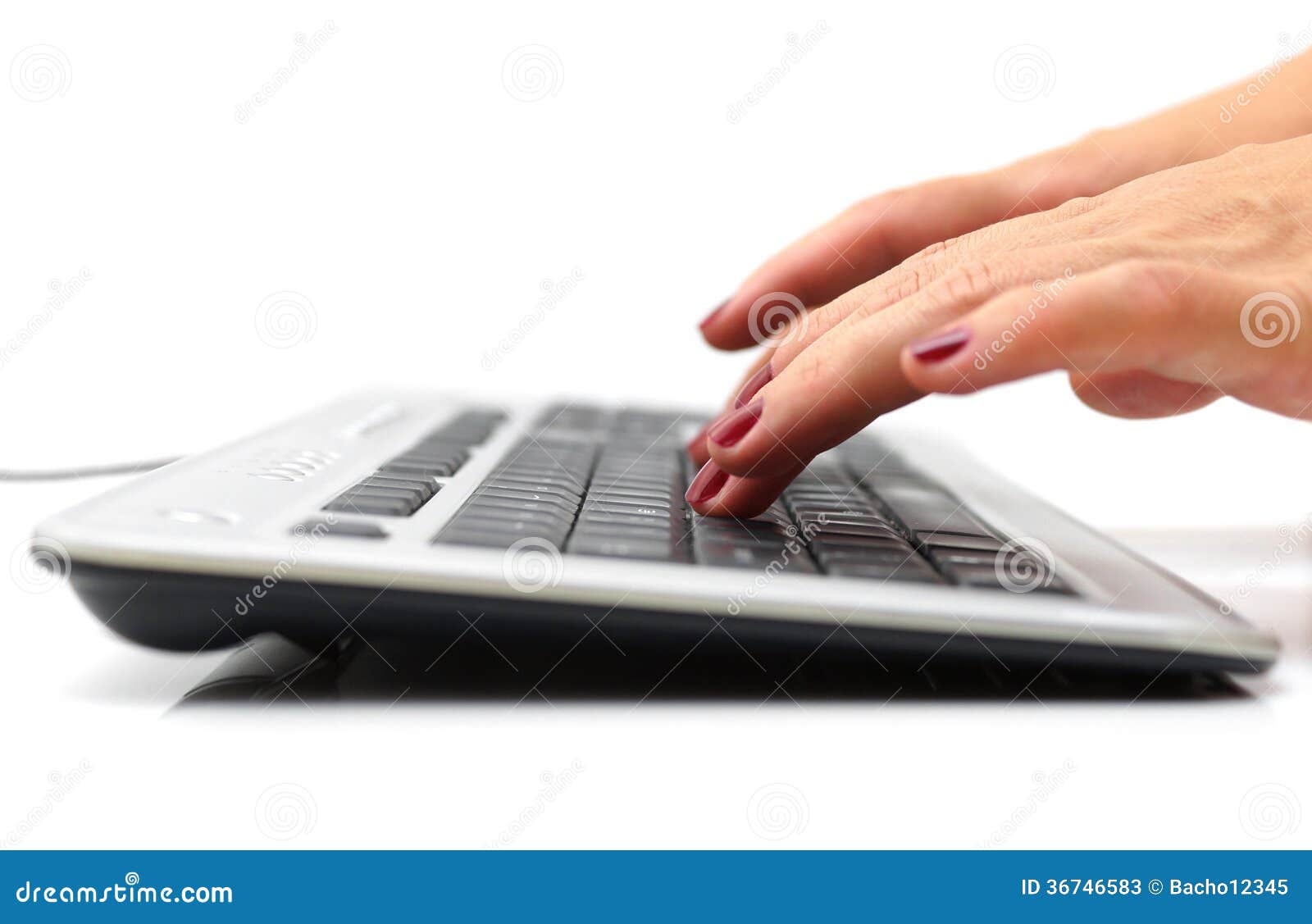 Female Hands Typing on Keyboard Stock Image - Image of hardware, human ...
