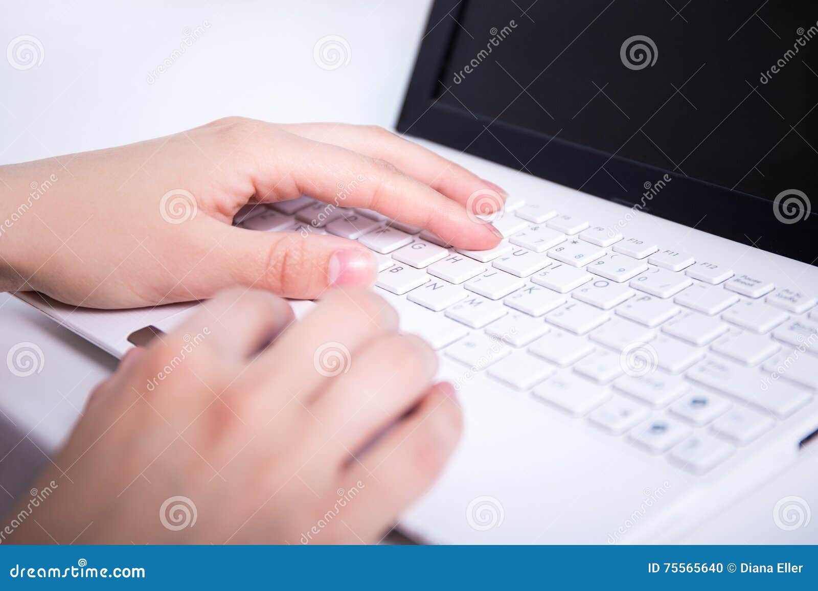 Female Hands Typing on the Keyboard Stock Photo - Image of information ...