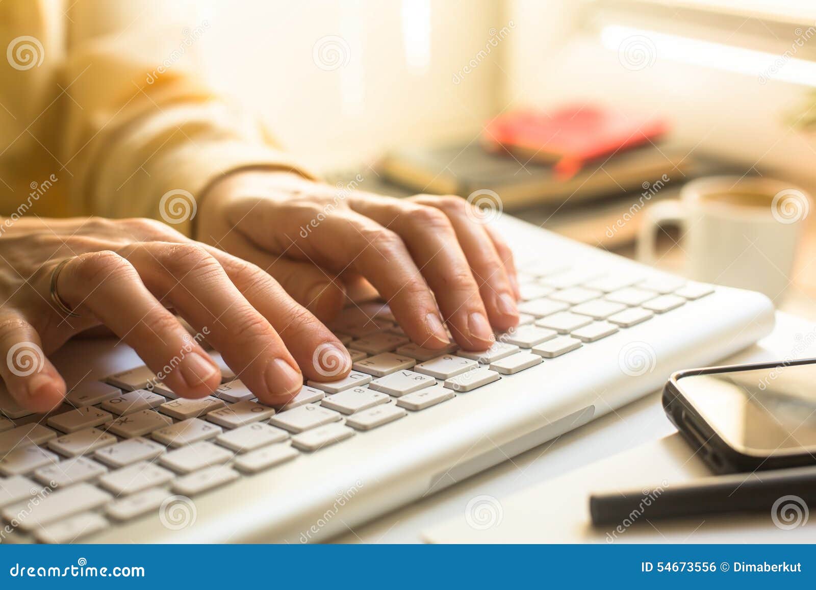 Female Hands Typing on a Keyboard. Education. Stock Photo - Image of ...