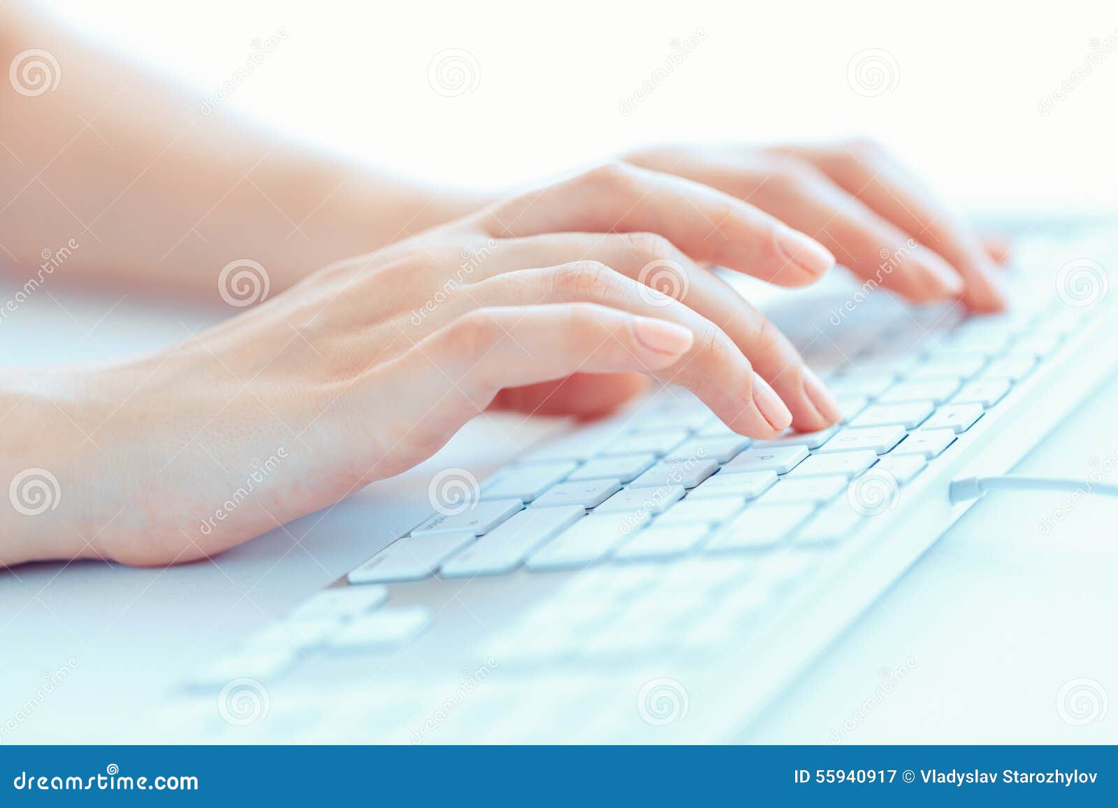 Female Hands Typing on the Keyboard Stock Image - Image of data ...