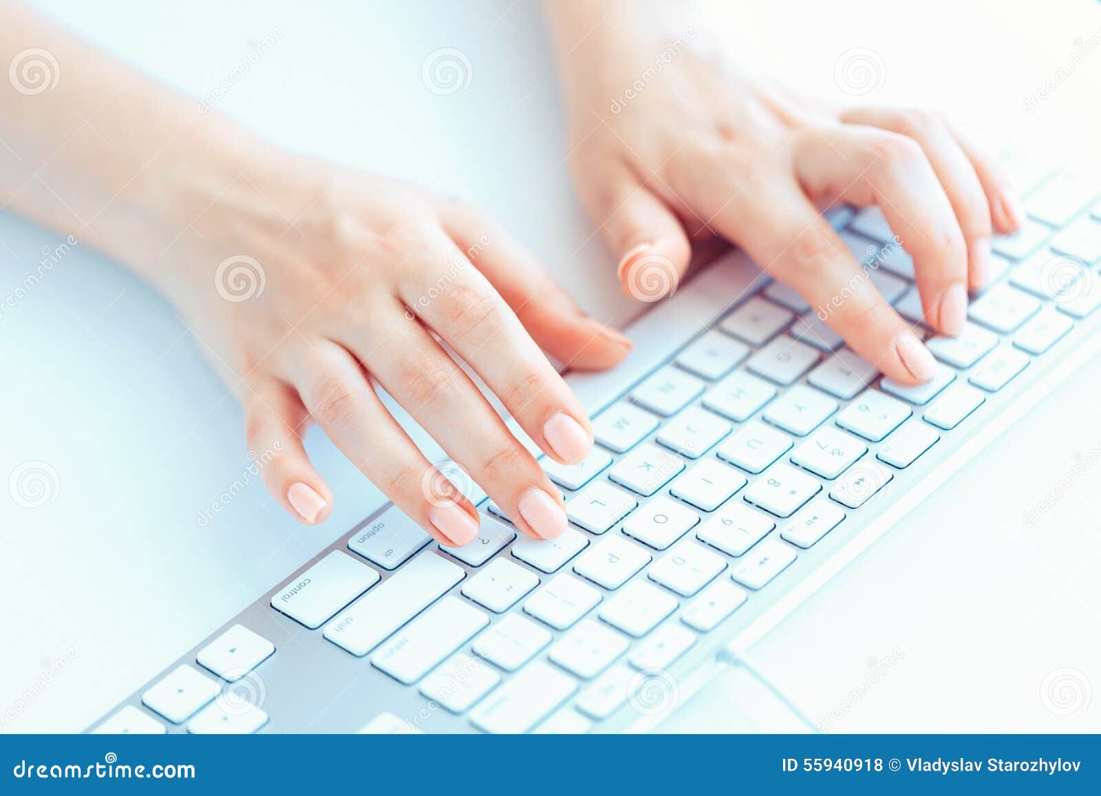 Female Hands Typing on the Keyboard Stock Photo - Image of computing ...