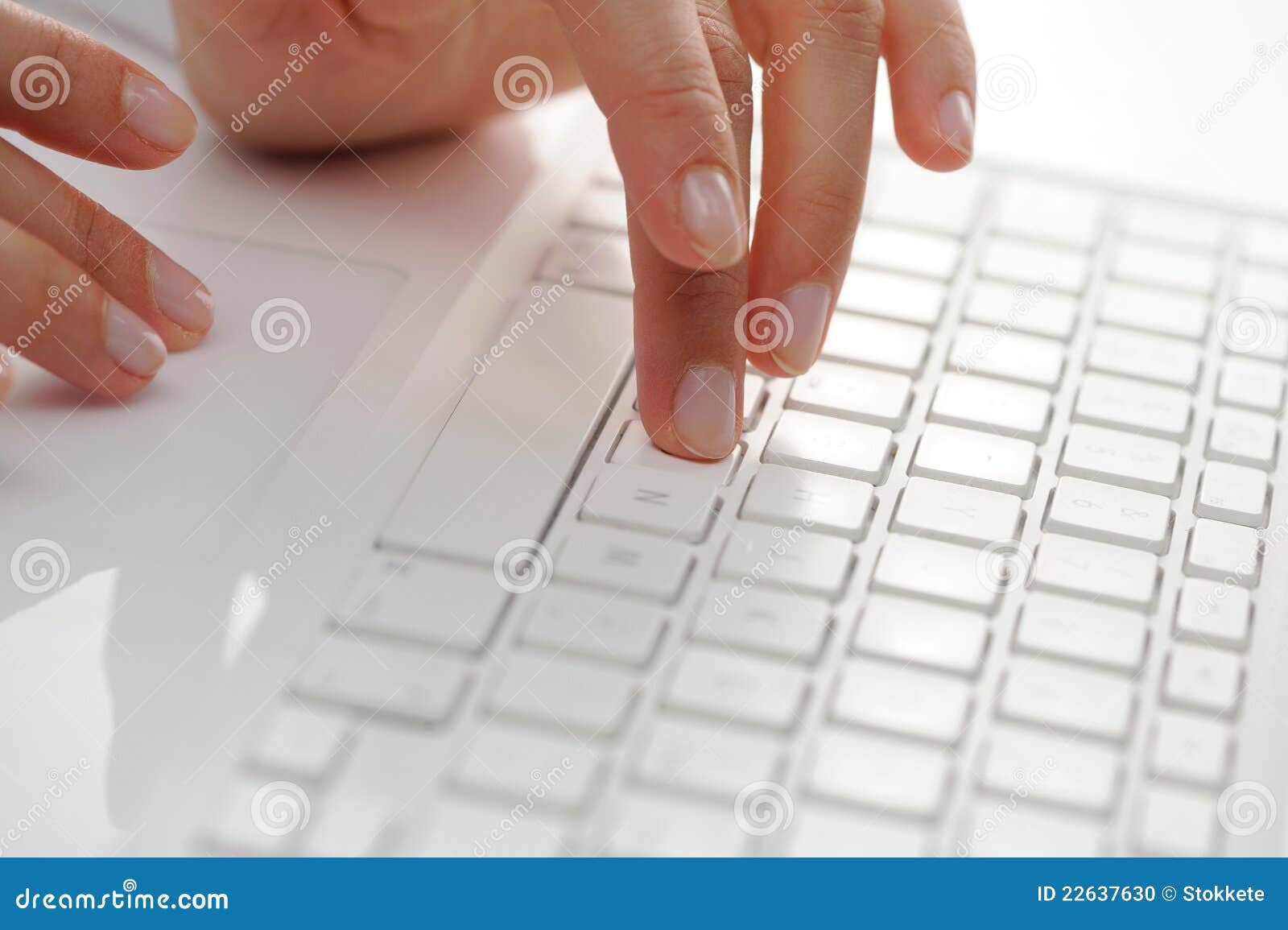 Female Hands Typing on a White Computer Stock Photo - Image of blank ... Female Hands Typing on a White Computer Stock Photo - Image of blank ...
