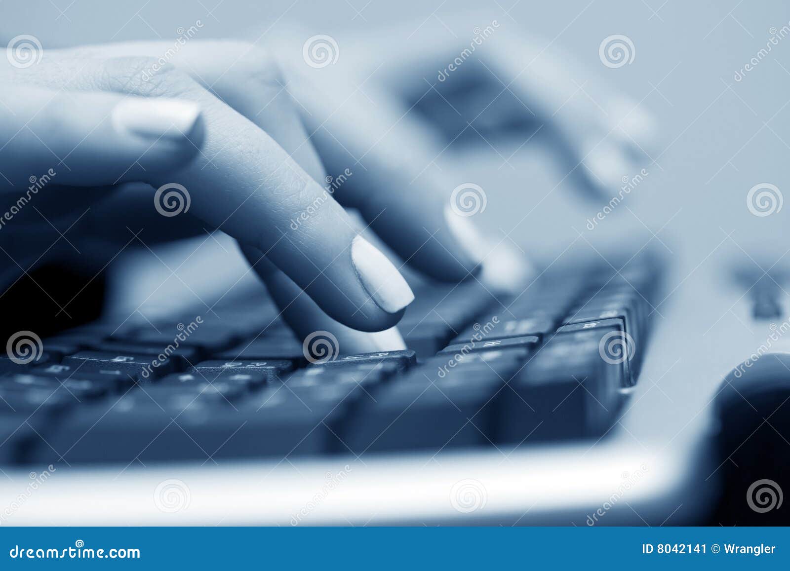 Woman Using Computer Keyboard Stock Image - Image of data, office: 8042141