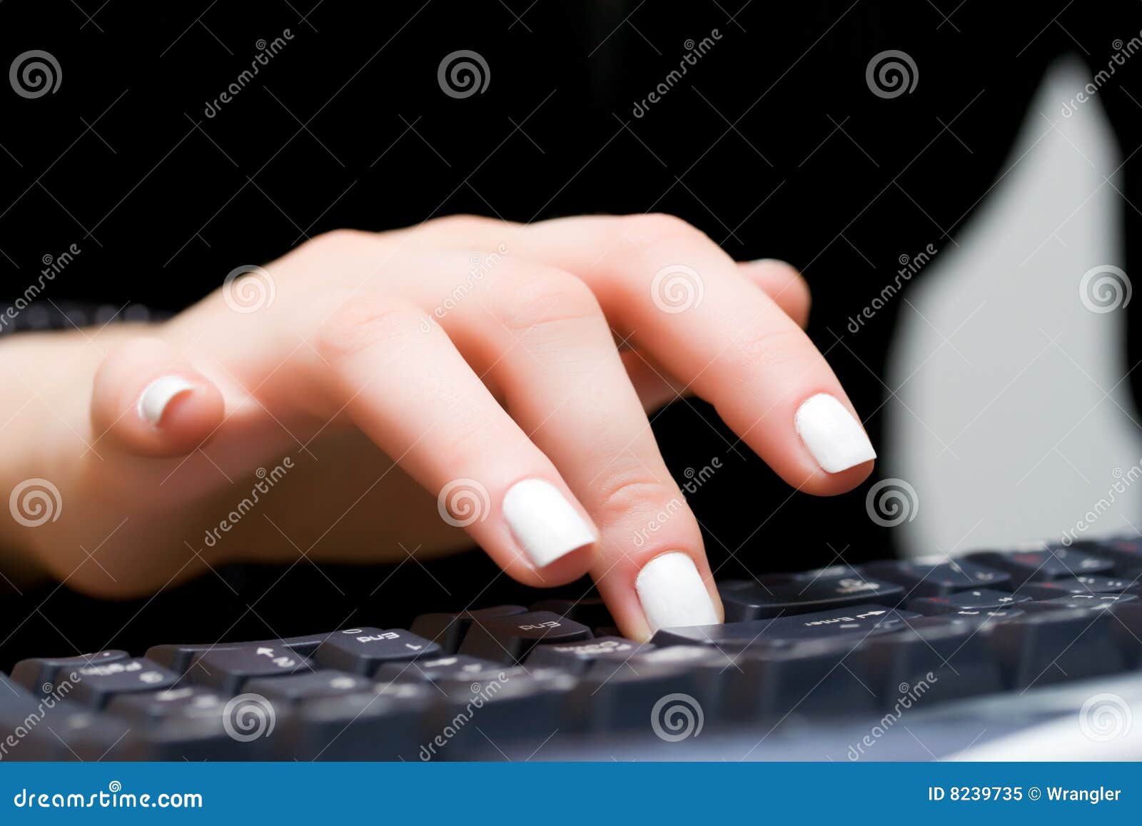 Female Hands Using Computer Keyboard Stock Image - Image of desktop ...