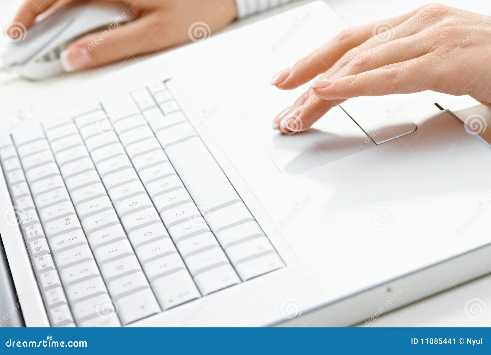 Female hands using laptop stock image. Image of beautiful - 11085441