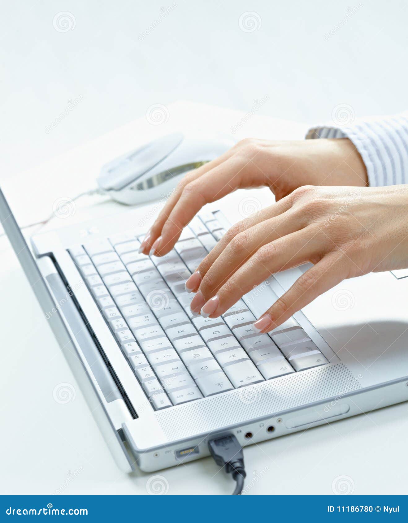 Female hands using laptop stock photo. Image of human - 11186780