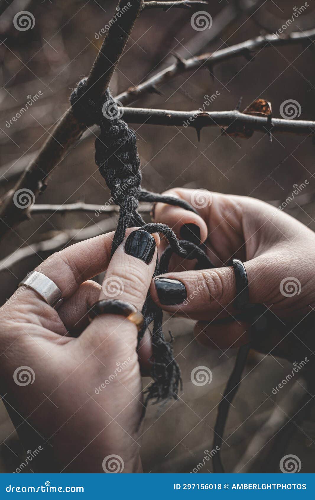 Female Hands Weaving a Macrame Braid on a Tree Stock Photo - Image of ...