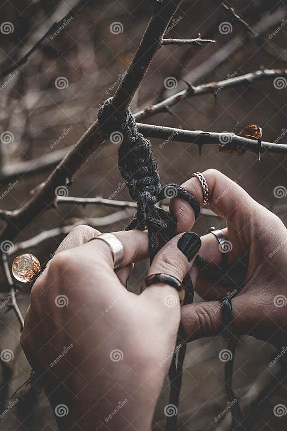 Female Hands Weaving a Macrame Braid on a Tree Stock Photo - Image of ...