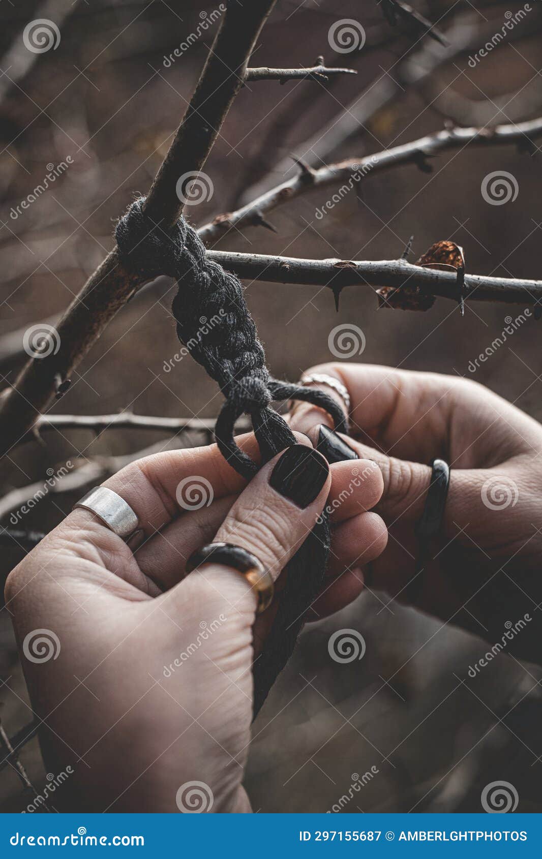 Female Hands Weaving a Macrame Braid on a Tree Stock Image - Image of ...