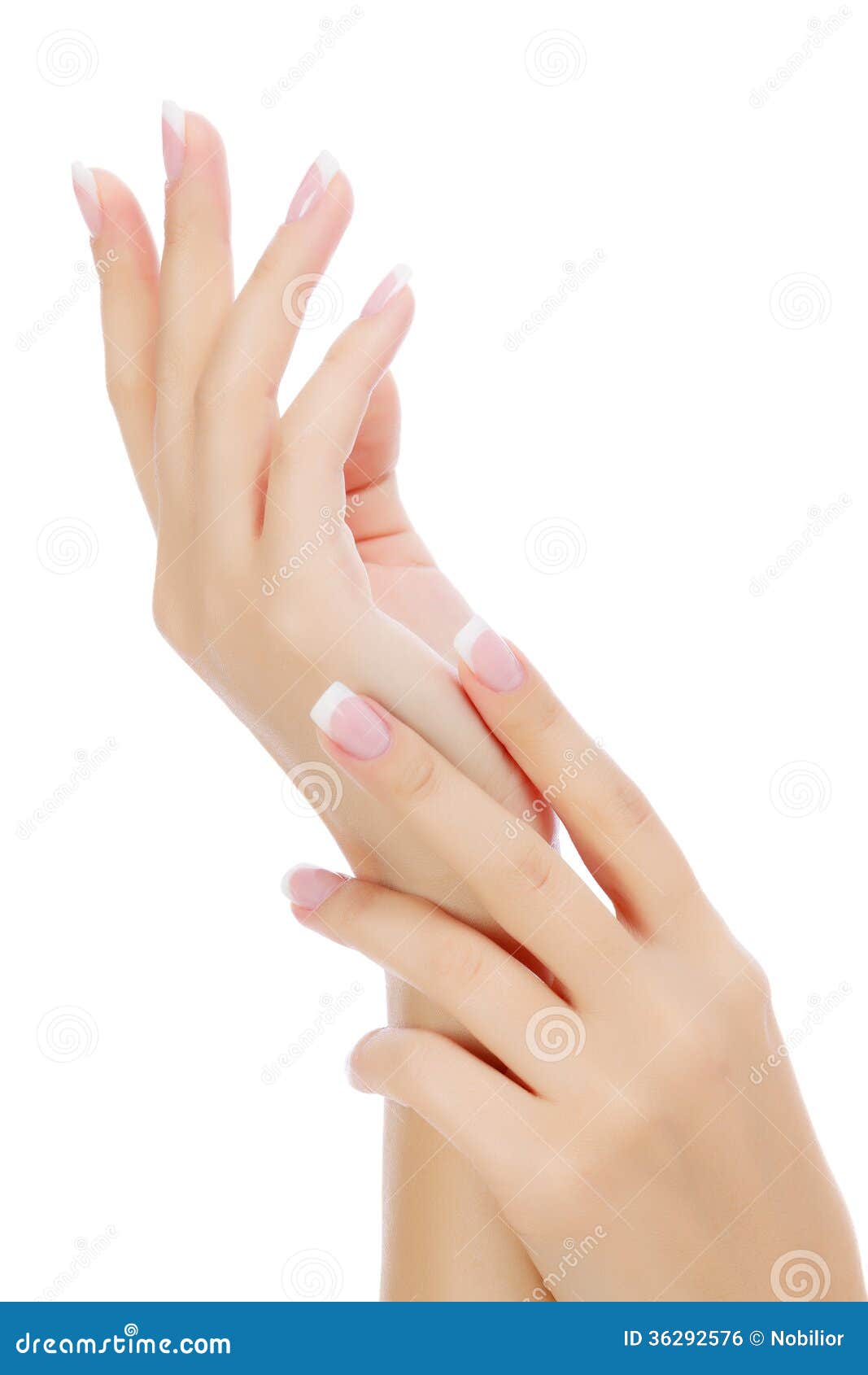 Female hands stock photo. Image of person, people, background - 36292576