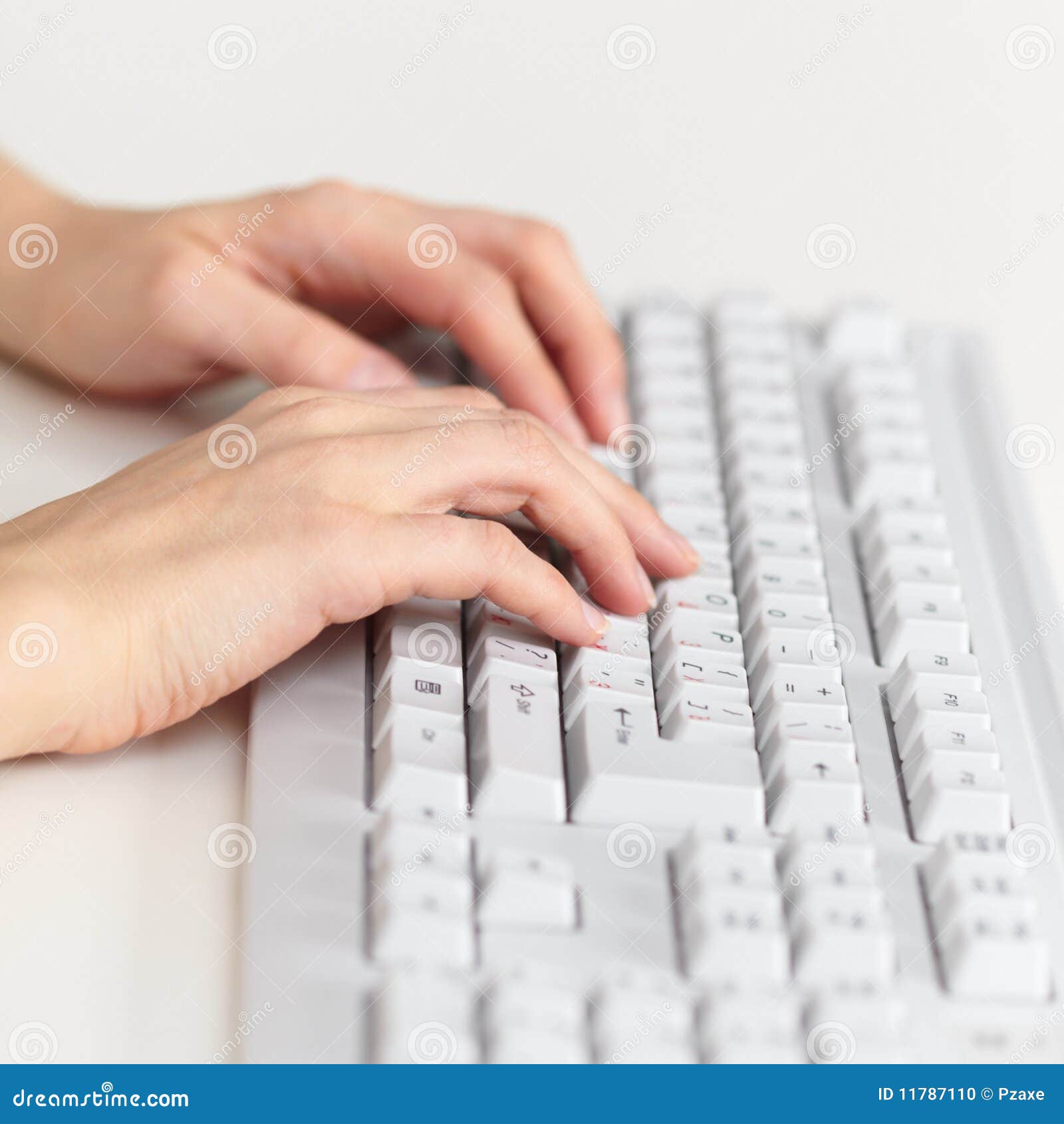 Female Hands Work on Computer Keyboard Stock Photo - Image of hand ...
