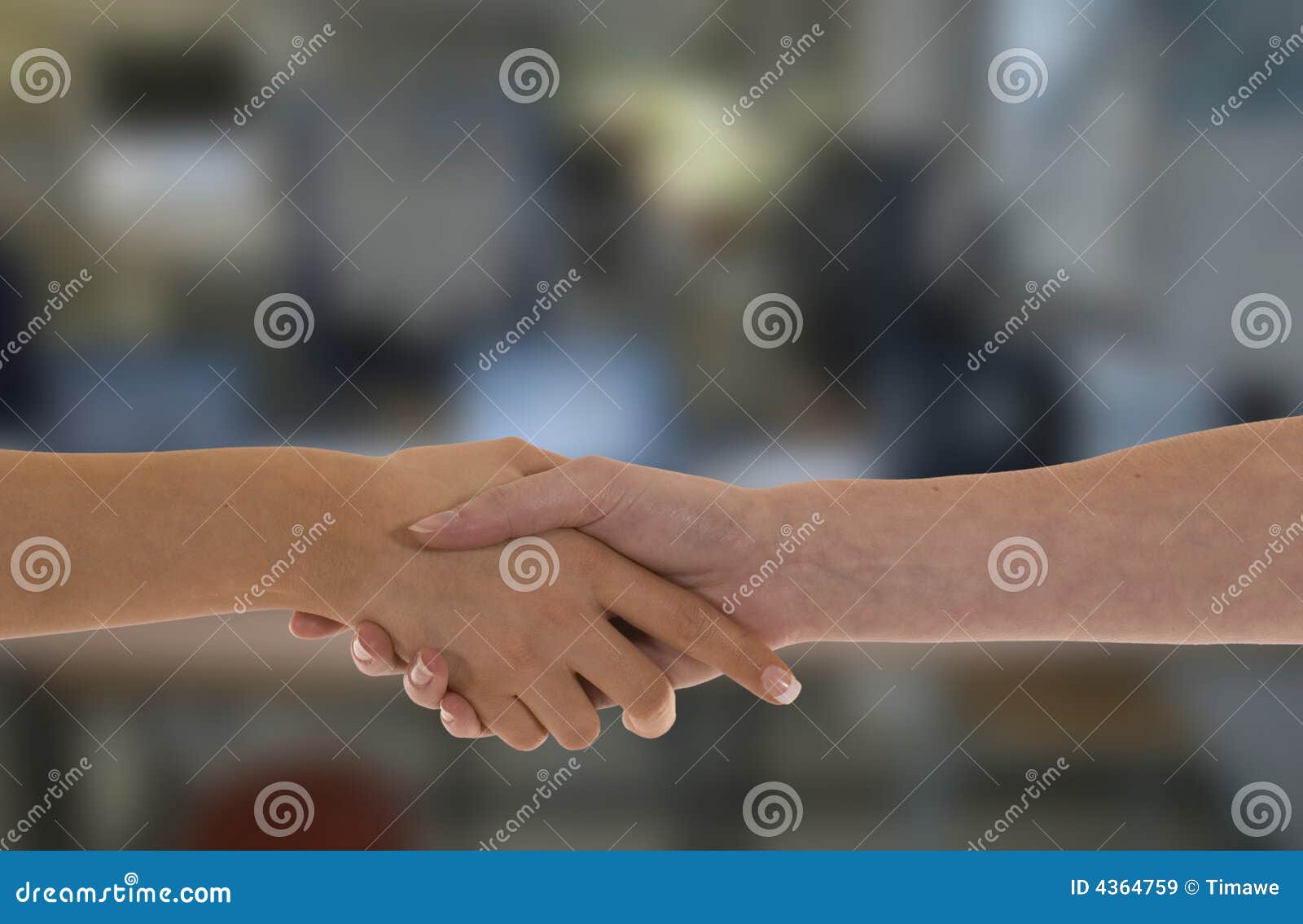 Female Handshake stock image. Image of meet, shake, business - 4364759