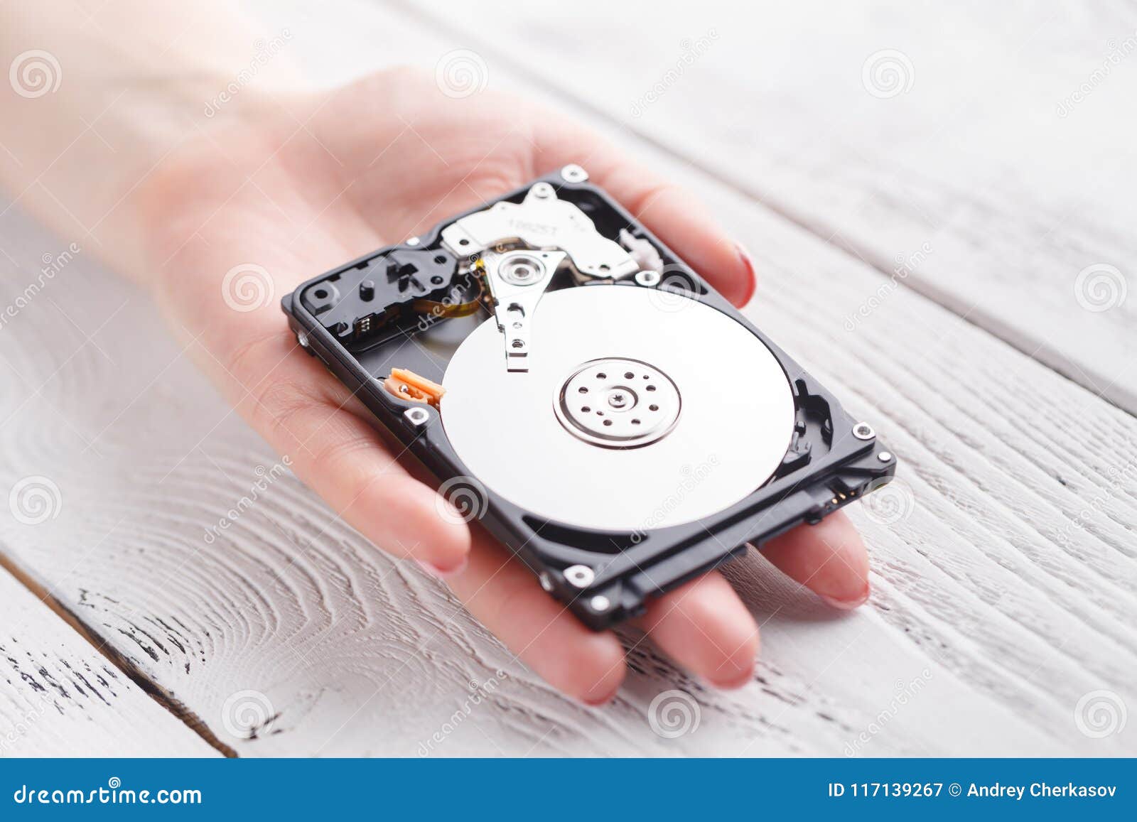 Female with a Hard Disk HDD in the Hands Stock Image - Image of ...
