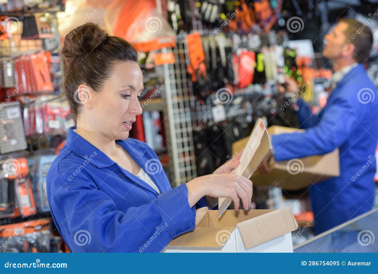Female Hardwarer Store Worker with Colleague Stock Image - Image of ...
