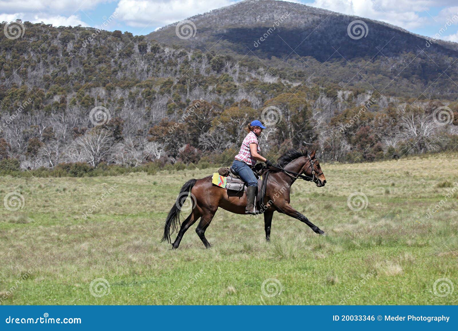Female horse rider stock photo. Image of hoof, nature - 20033346