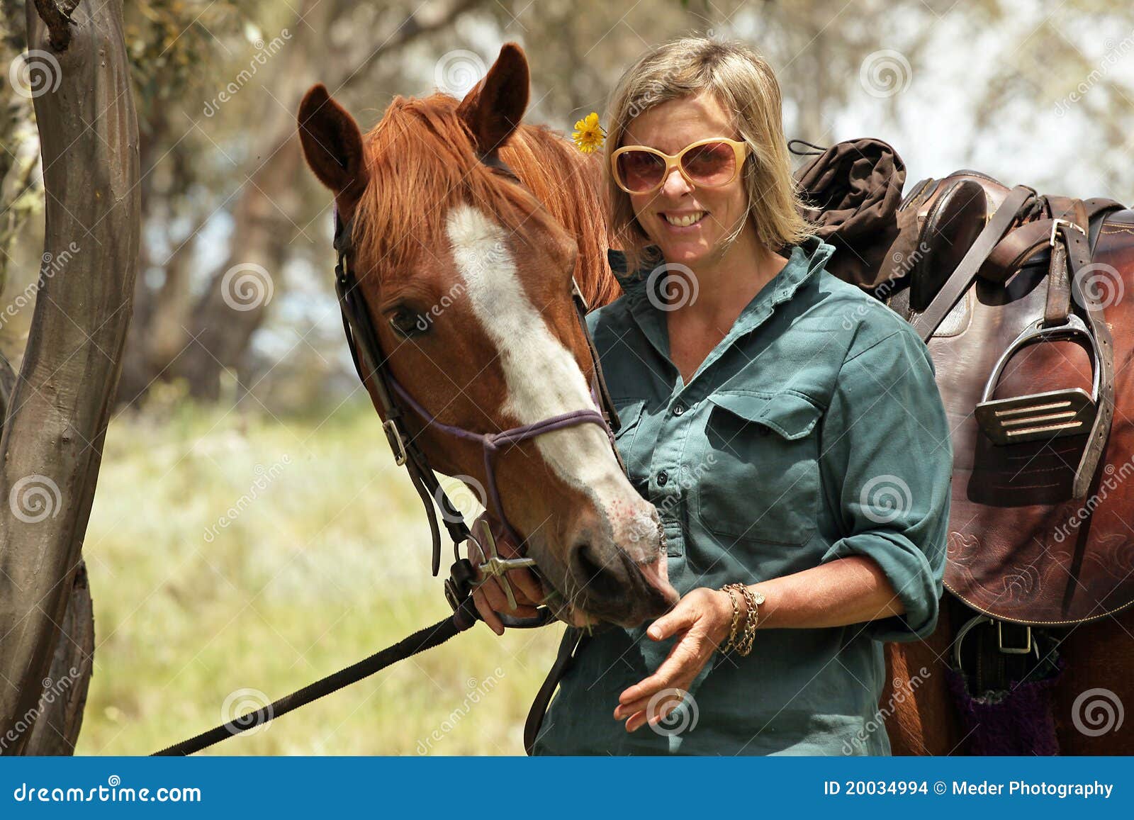 Female horse rider stock photo. Image of american, australia - 20034994