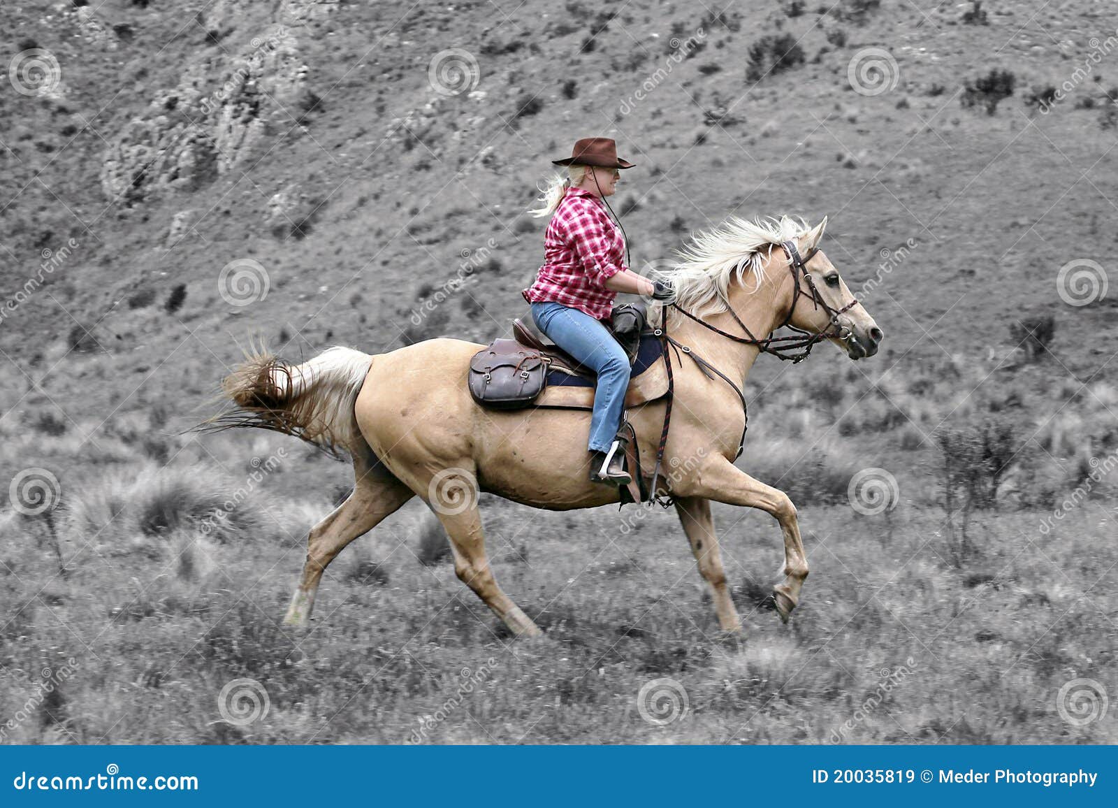 Female horse rider stock image. Image of paddock, grass - 20035819