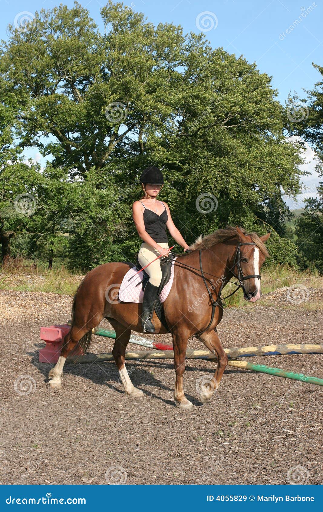 Female Horse Rider stock image. Image of person, mares - 4055829