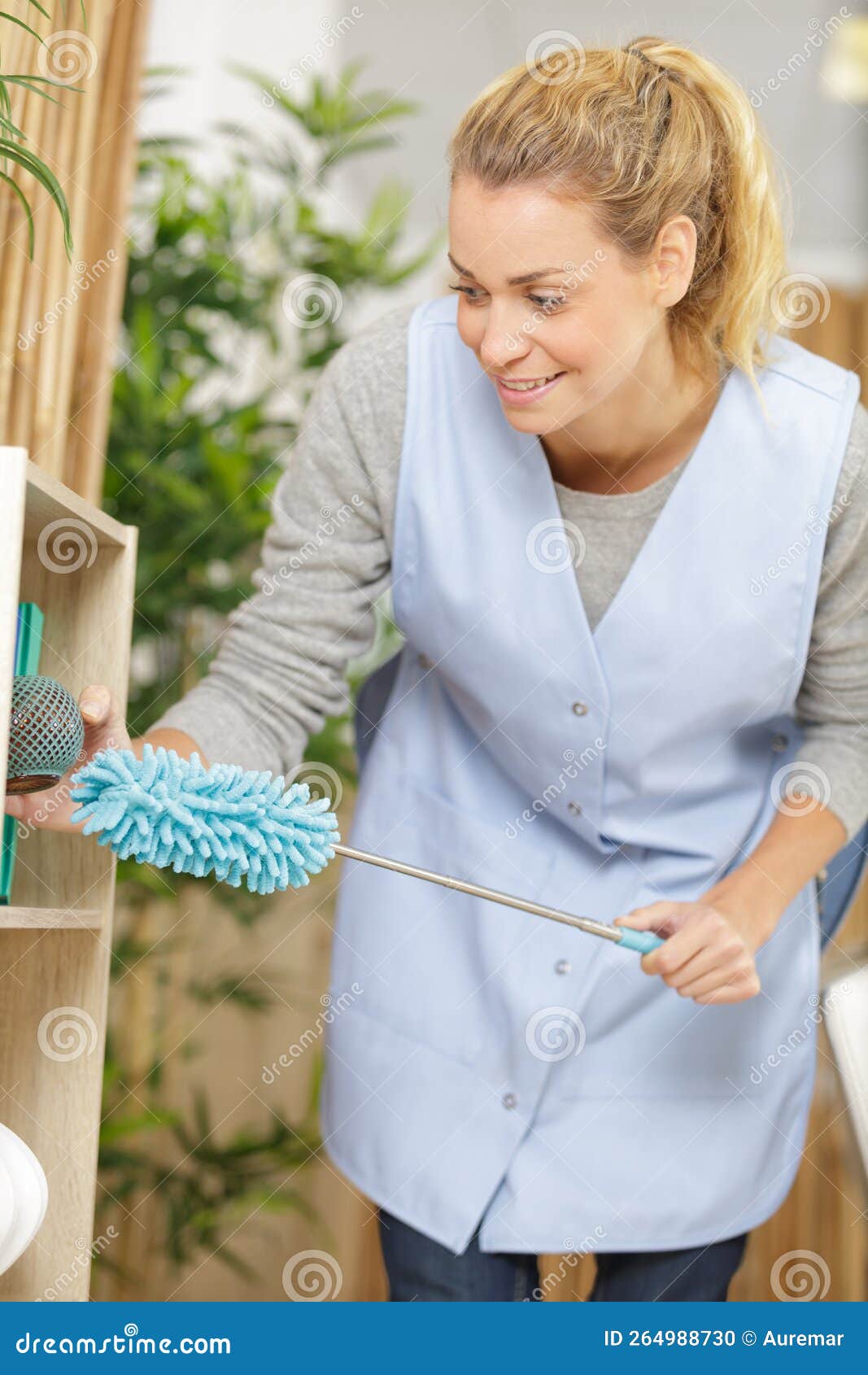 Female Housekeeper Cleans Dust Stock Photo - Image of bottle, modern ...