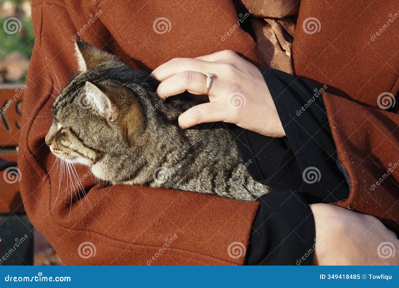 Female Hugging Her Cat. People in Live with Cat . Stock Image - Image ...