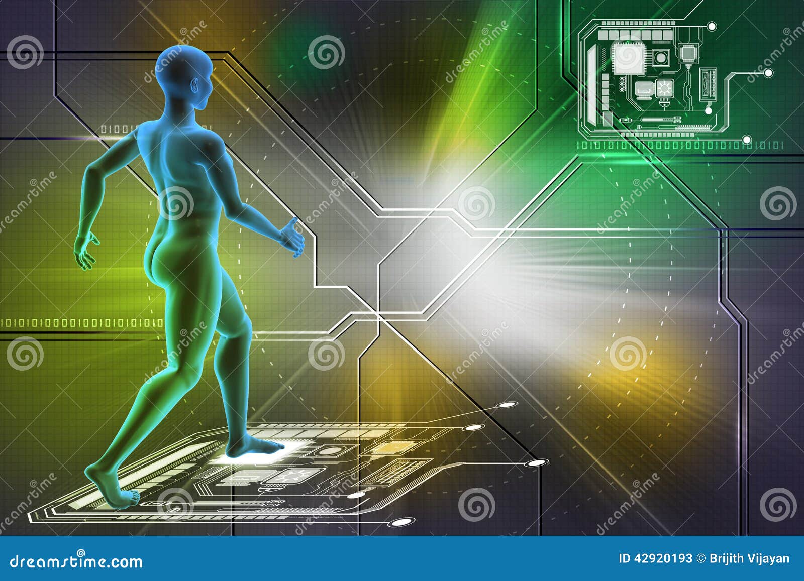 Female Human Body Royalty-Free Stock Photo | CartoonDealer.com #42920193