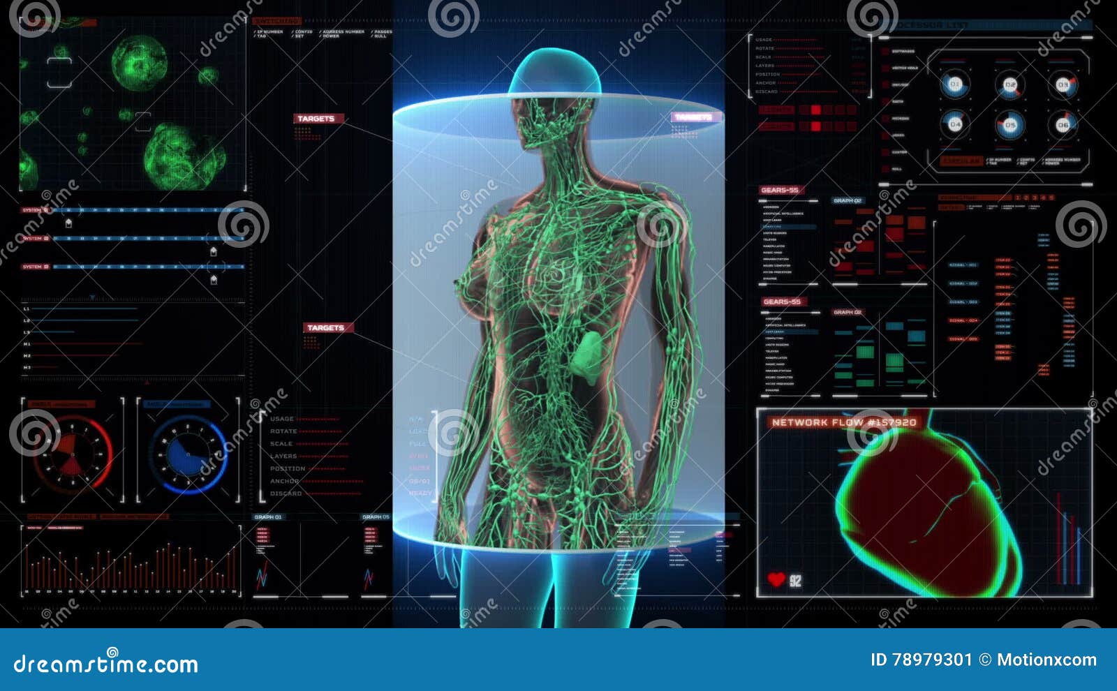Female Human Body Scanning Lymphatic System in Digital Display ...