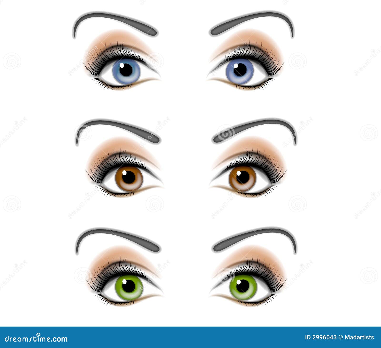 Female Human Eyes Illustration | CartoonDealer.com #2996043