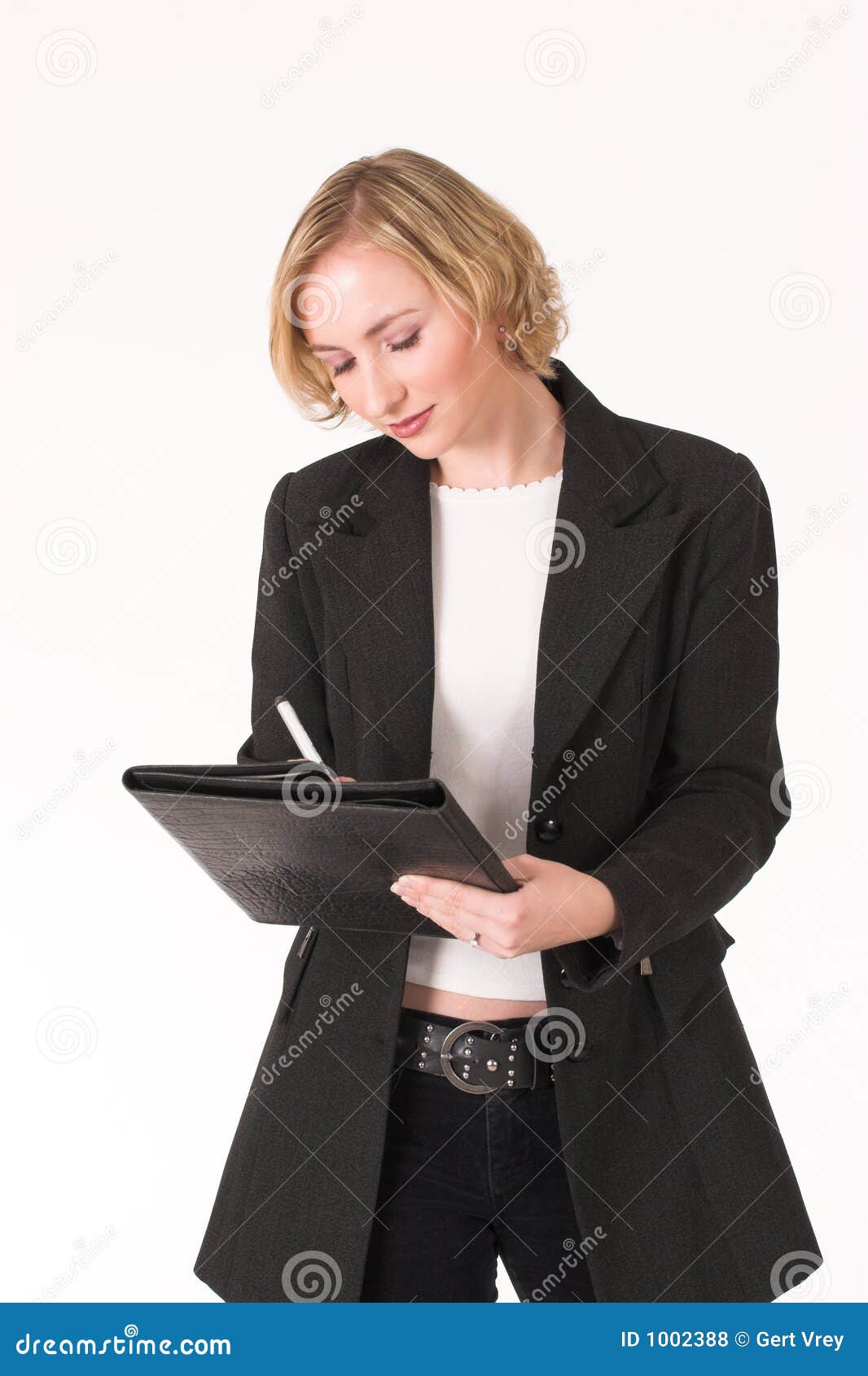 Female inspector stock photo. Image of boss, finance, person - 1002388