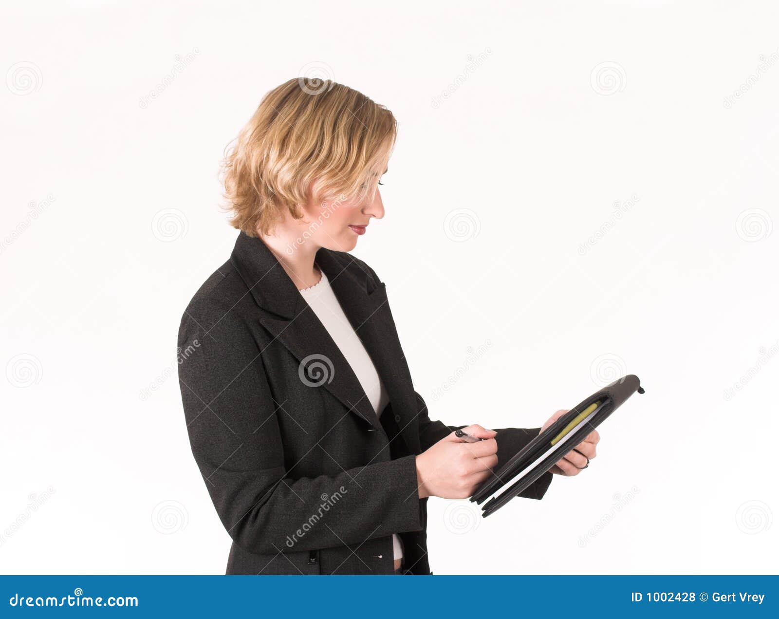 Female inspector #6 stock photo. Image of person, ledger - 1002428