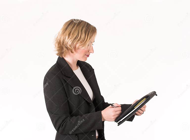 Female inspector #6 stock photo. Image of person, ledger - 1002428