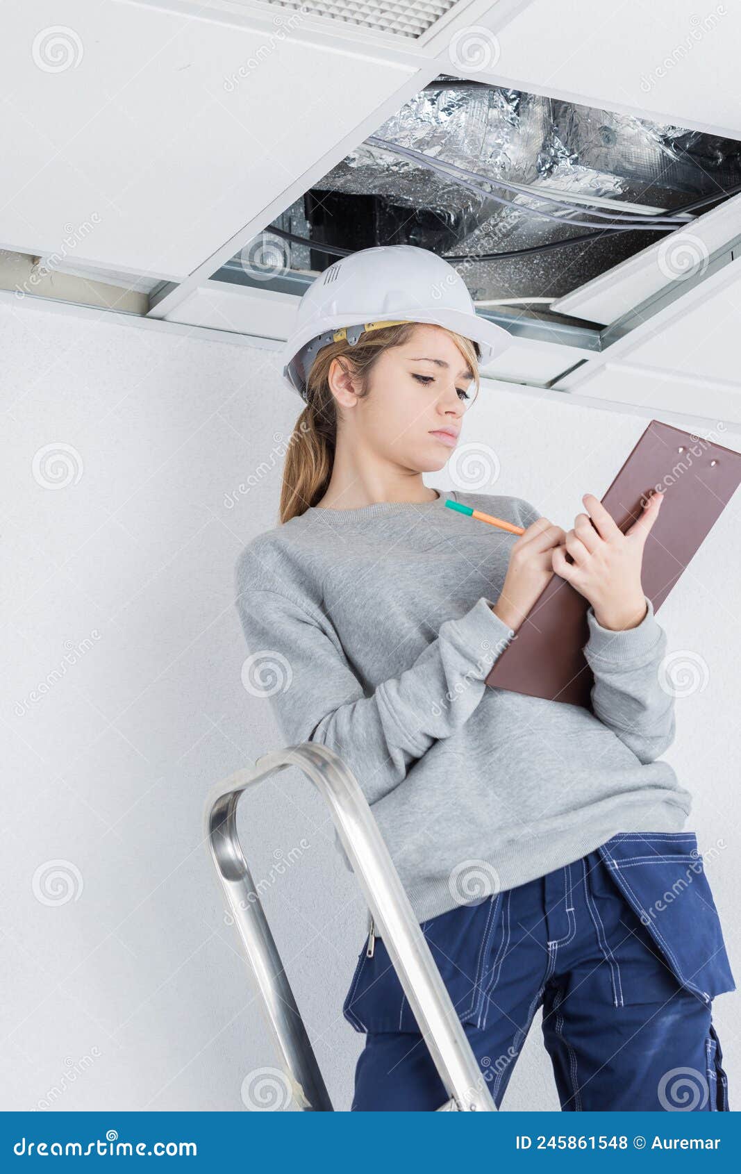 Female Inspector Work Confident Woman Clipboard Royalty-Free Stock ...